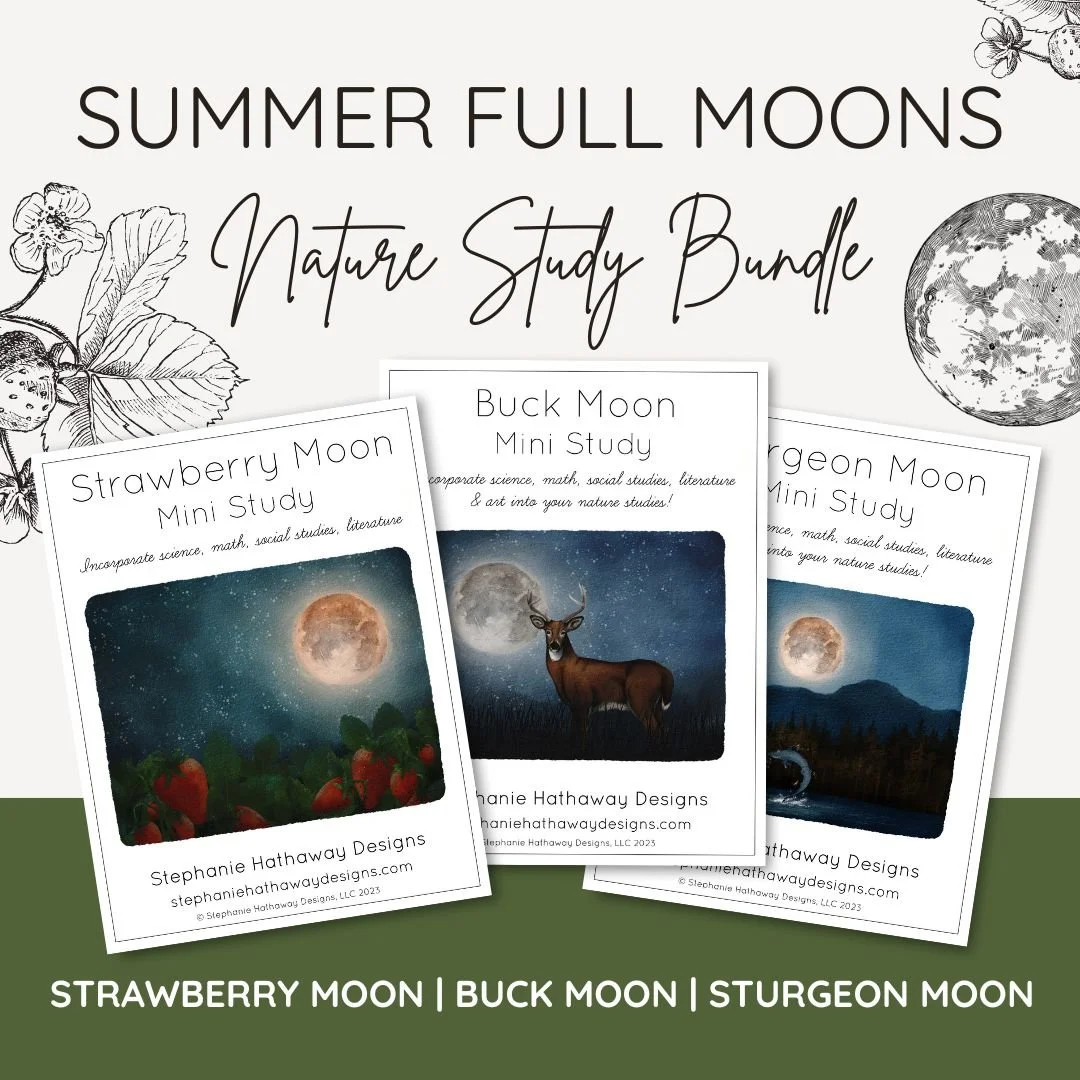 St. Patrick's Day Nature Study Bundle — Stephanie Hathaway Designs