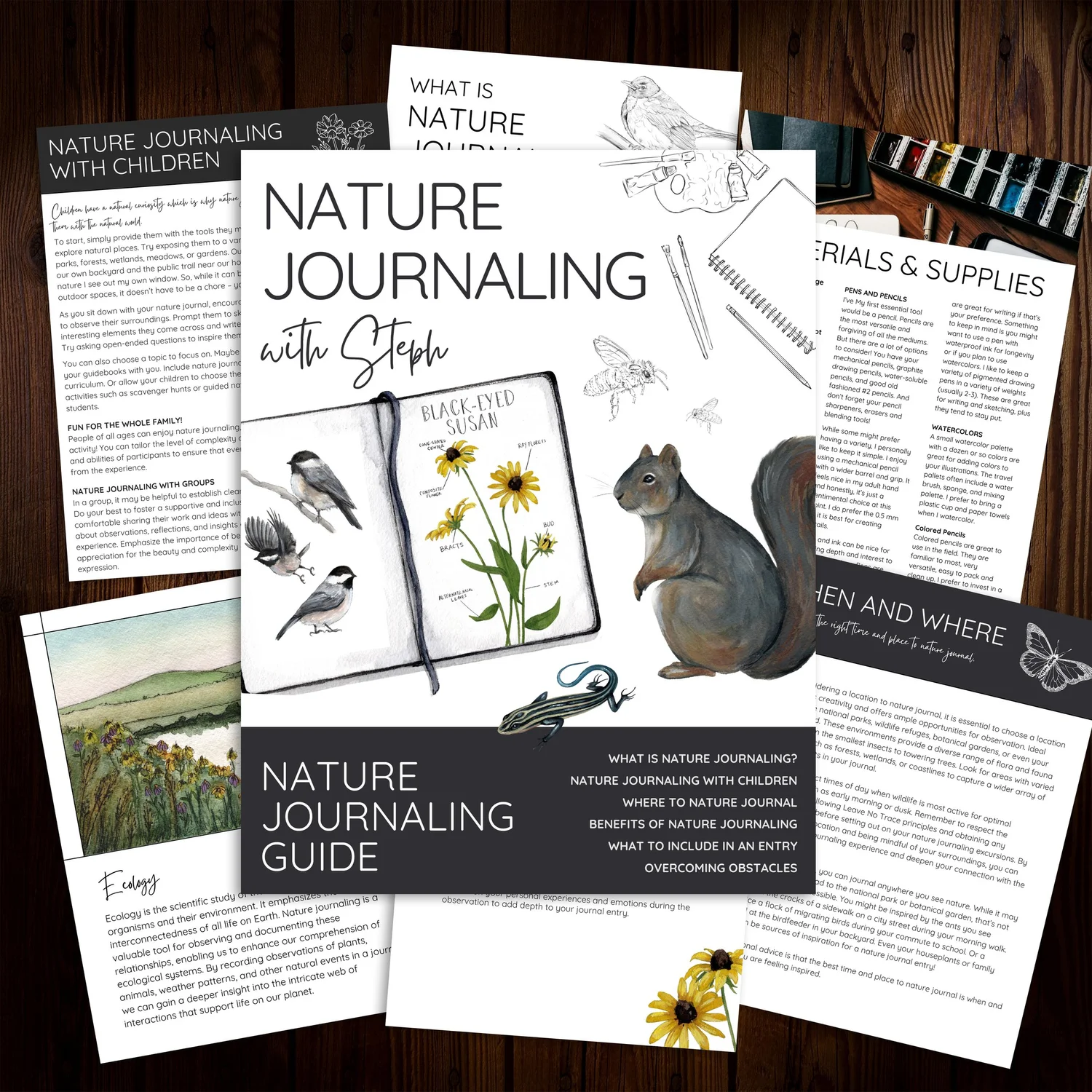 Nature Journaling with Steph: Evergreen Trees — Stephanie Hathaway Designs