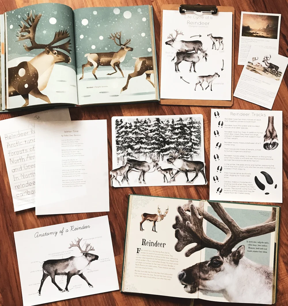 Bundles — Stephanie Hathaway Designs