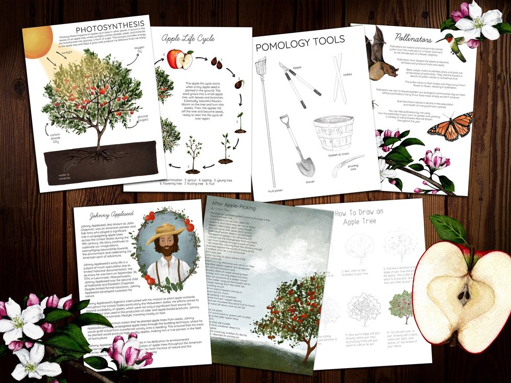 Winter Full Moon Bundle — Stephanie Hathaway Designs