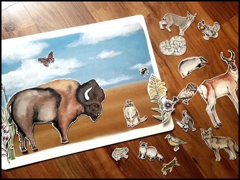 Prairie Nature Study Bundle — Stephanie Hathaway Designs