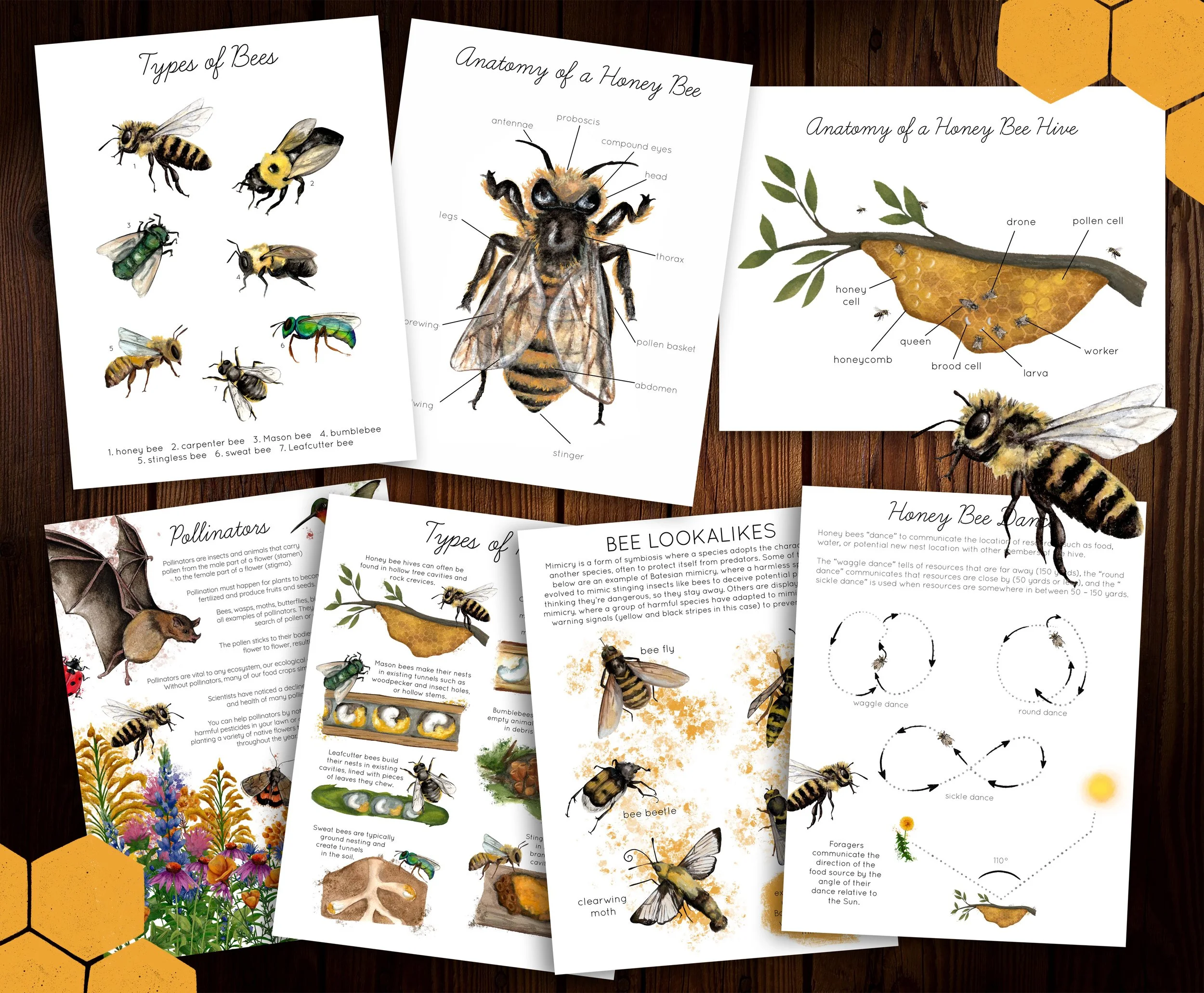Ecosystem Bundle 2 — Stephanie Hathaway Designs