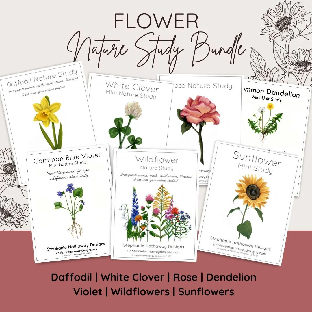 Moon Bundle — Stephanie Hathaway Designs