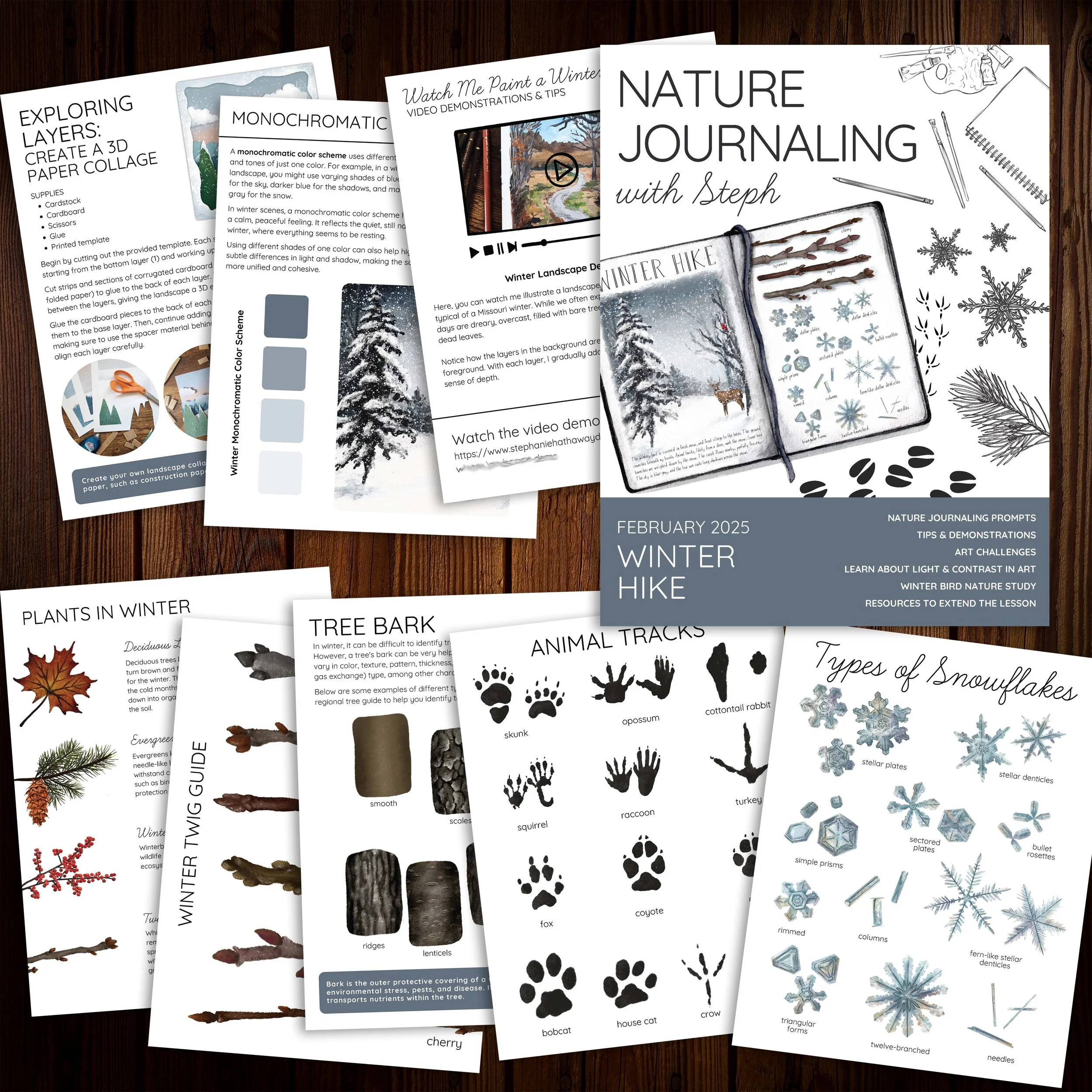 Nature Journaling with Steph — Stephanie Hathaway Designs