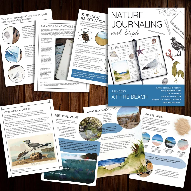 Nature Journaling with Steph — Stephanie Hathaway Designs