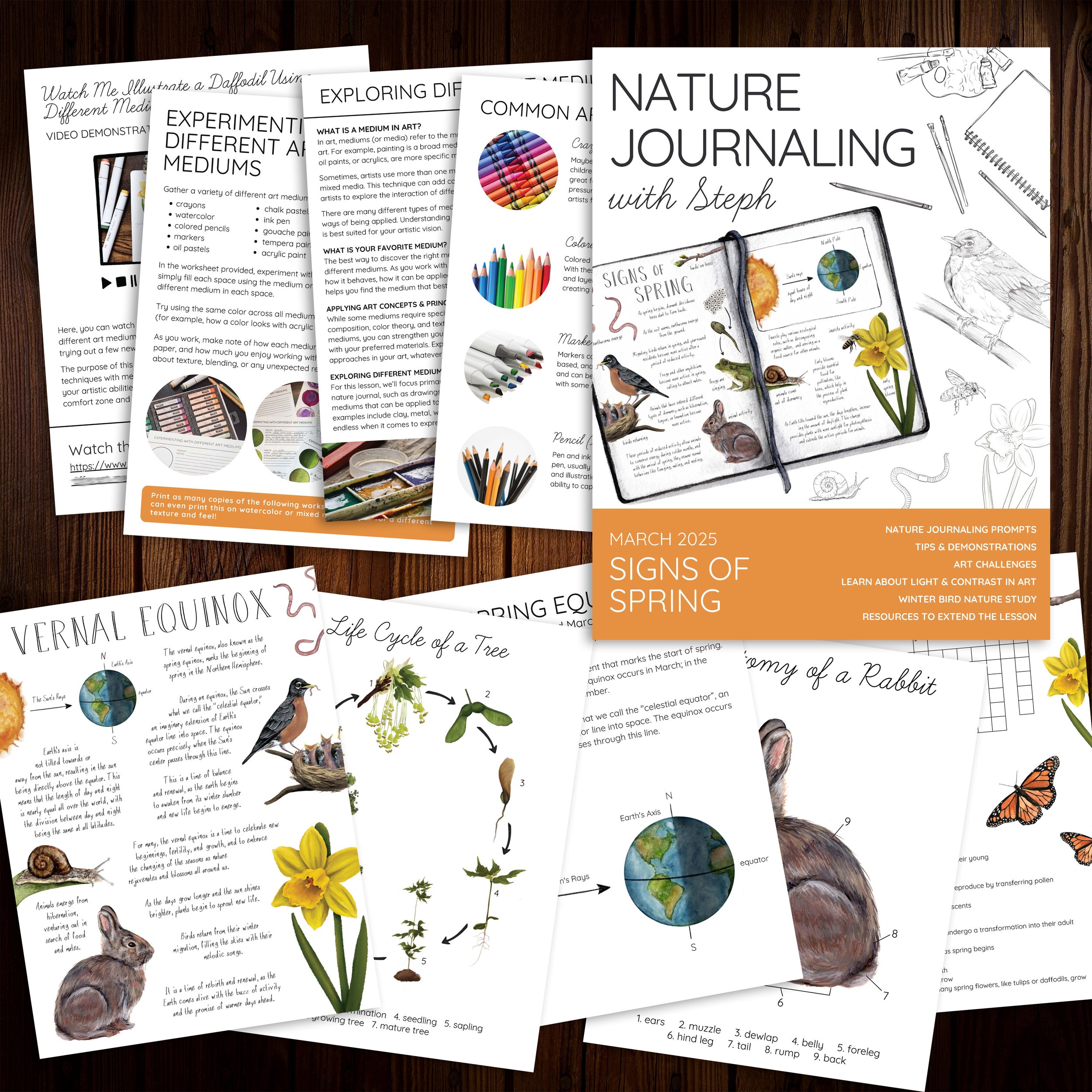 Nature Journaling with Steph — Stephanie Hathaway Designs