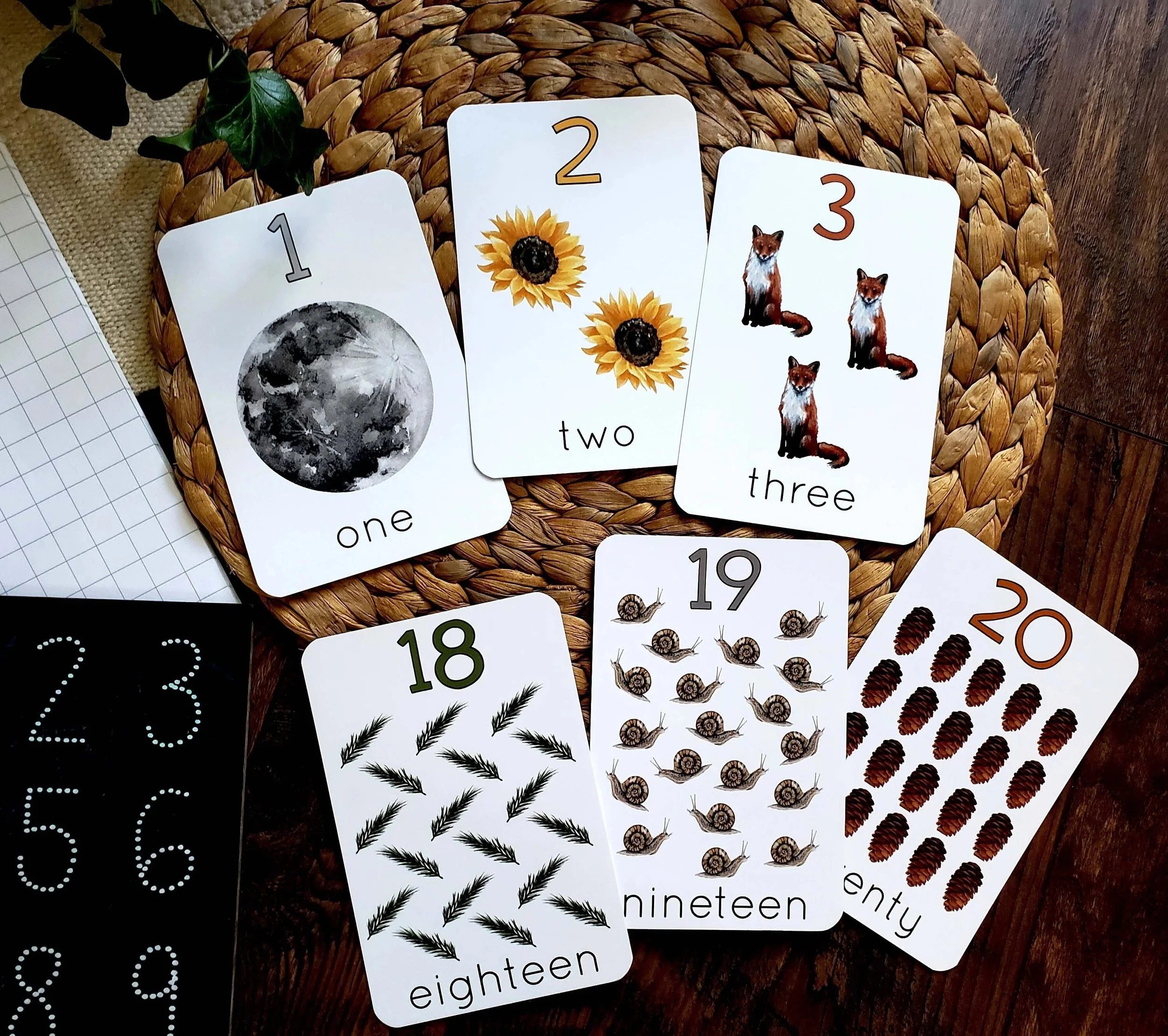 Animal Alphabet Flashcards | 26 Hand-Painted Montessori & Waldorf Cards ...