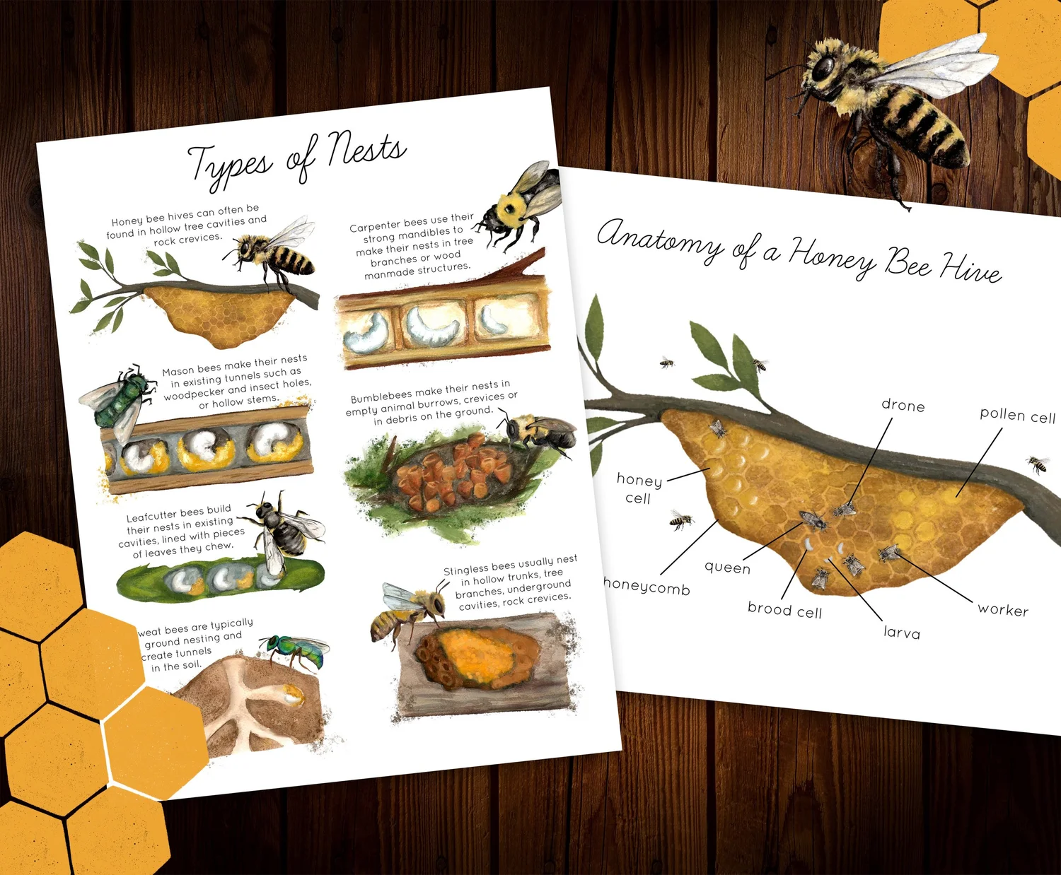 Bundles — Stephanie Hathaway Designs