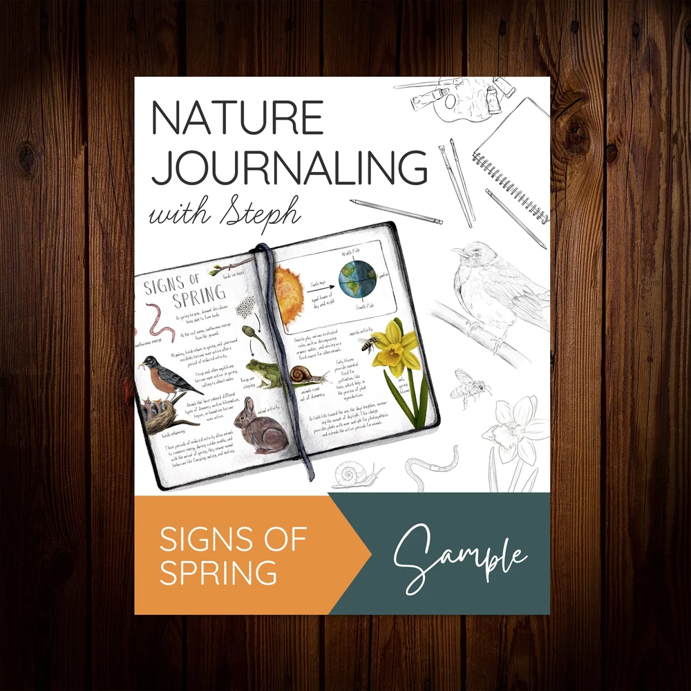 Nature Journaling with Steph | Monthly Art Lessons & Tutorials ...