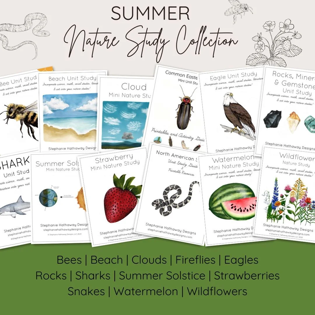 Bundles — Stephanie Hathaway Designs