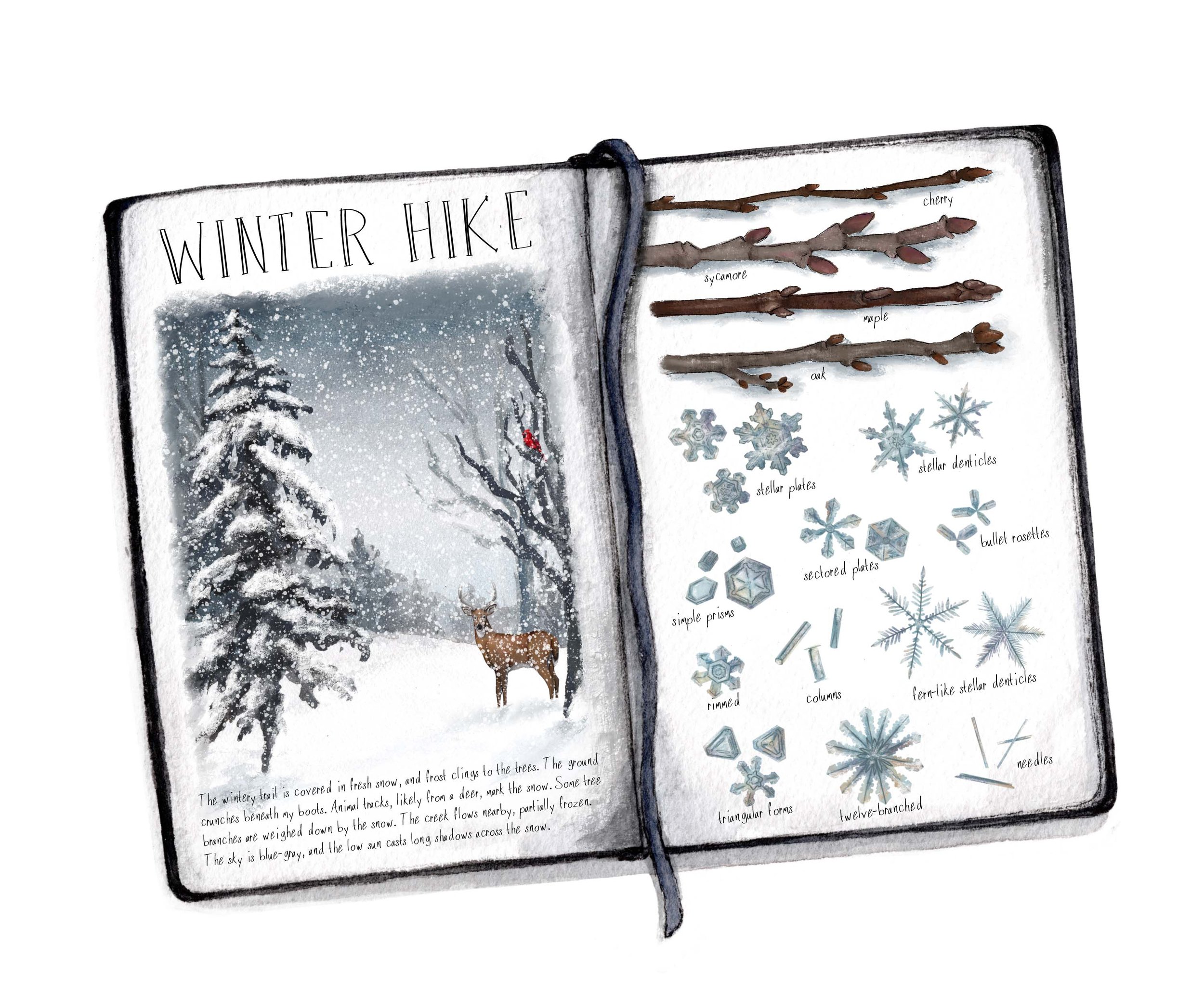 Nature Journaling Lessons — Stephanie Hathaway Designs