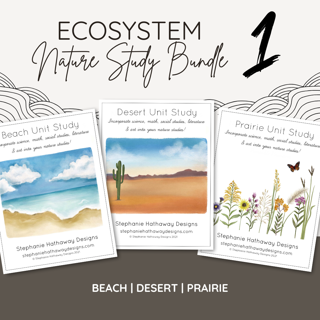 Ecosystem Bundle 2 — Stephanie Hathaway Designs