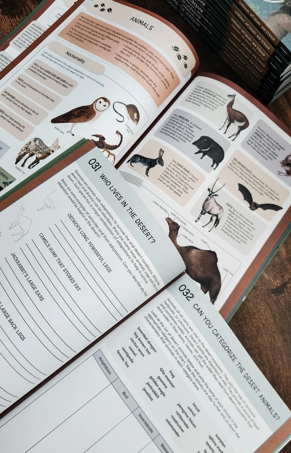 Planet Earth: The Workbook: 100+ Activities, Games, and Puzzles ...