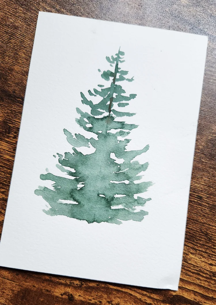 Evergreen Trees Watercolor Tutorials | Stephanie Hathaway Designs ...