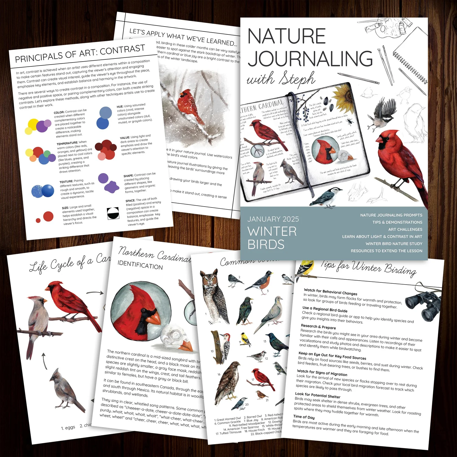 Nature Journaling Lessons — Stephanie Hathaway Designs