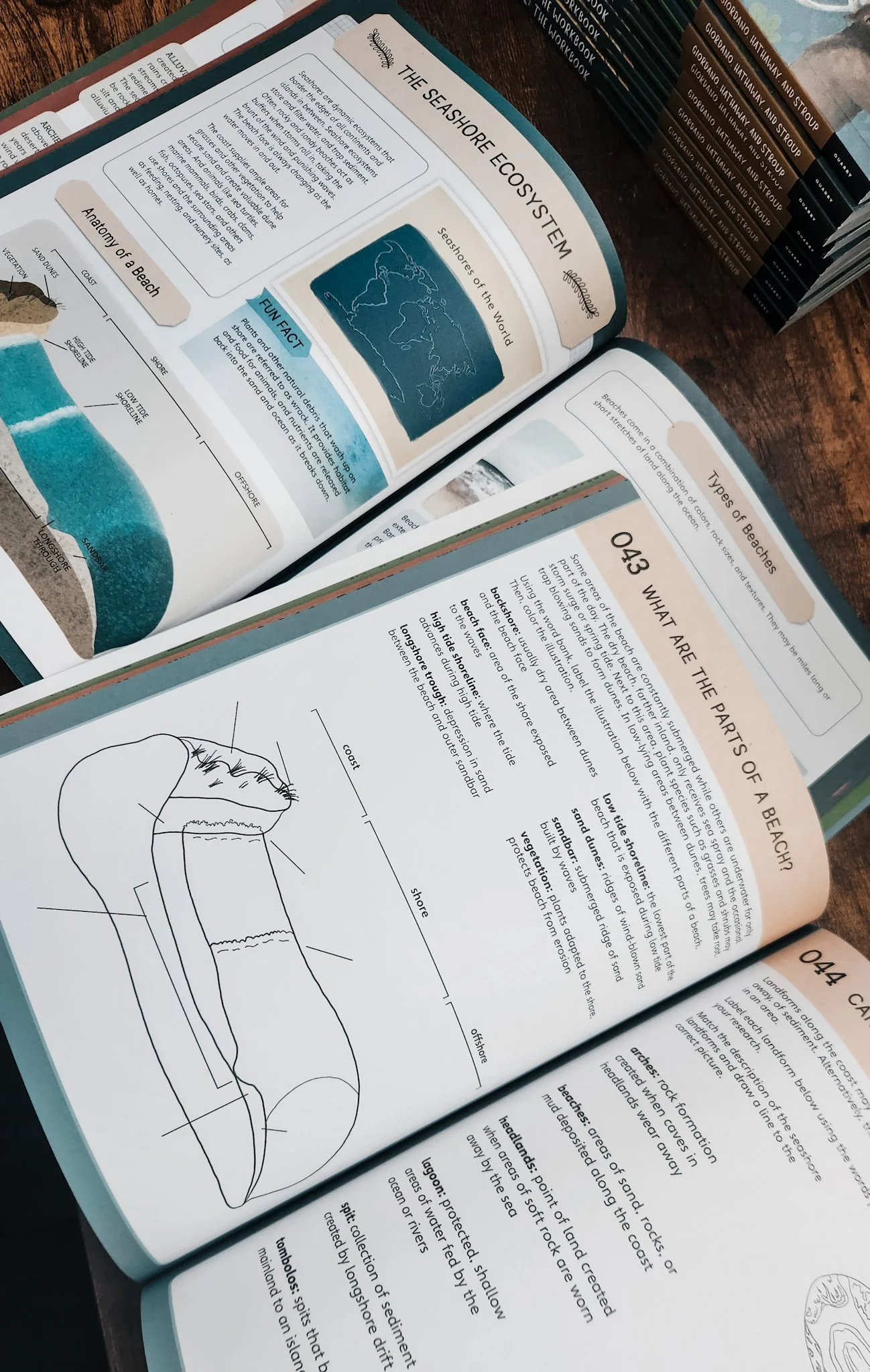 Planet Earth: The Workbook: 100+ Activities, Games, and Puzzles ...