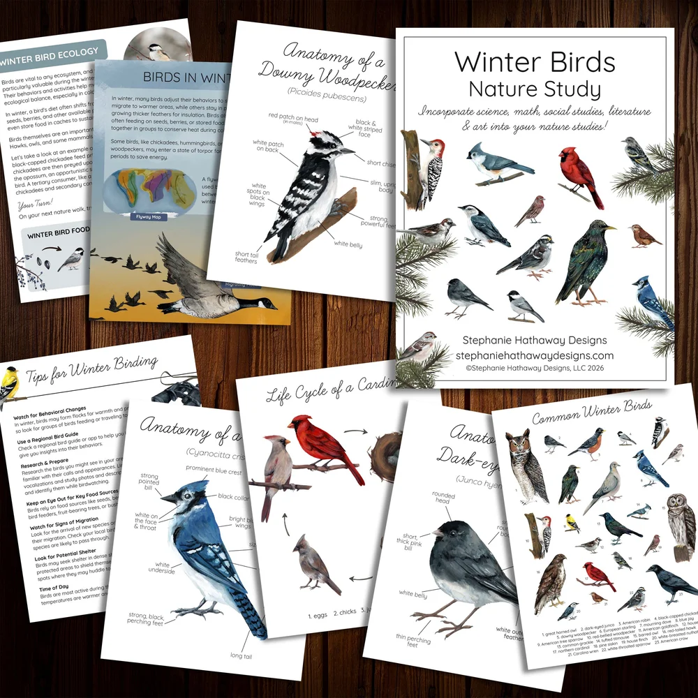 Nature-Inspired Learning & Art Blog | Stephanie Hathaway Designs ...