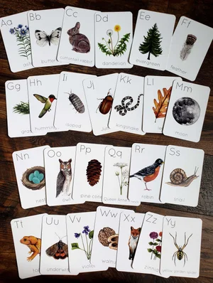 Animal Alphabet Flashcards | 26 Hand-Painted Montessori & Waldorf Cards ...