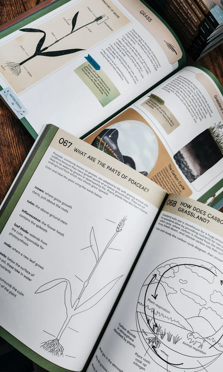 Planet Earth: The Workbook: 100+ Activities, Games, and Puzzles ...