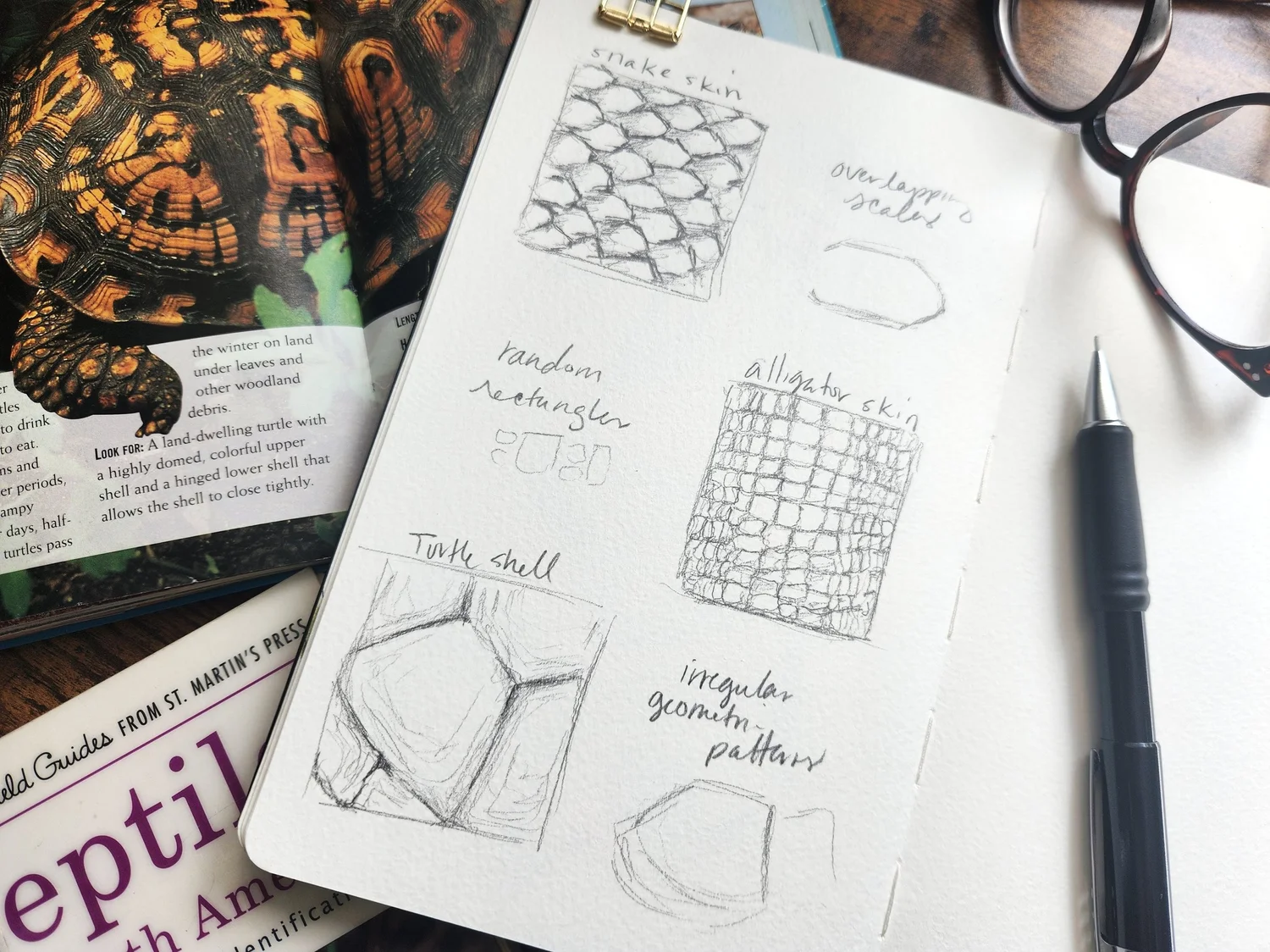 How to Draw Reptile Skin: Scales, Scutes & Shell Textures | Stephanie ...