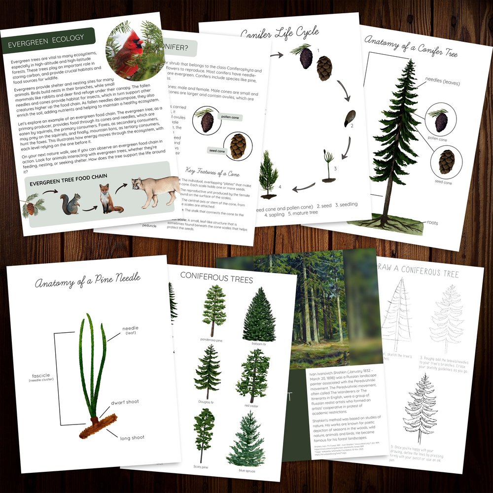 Bundles — Stephanie Hathaway Designs