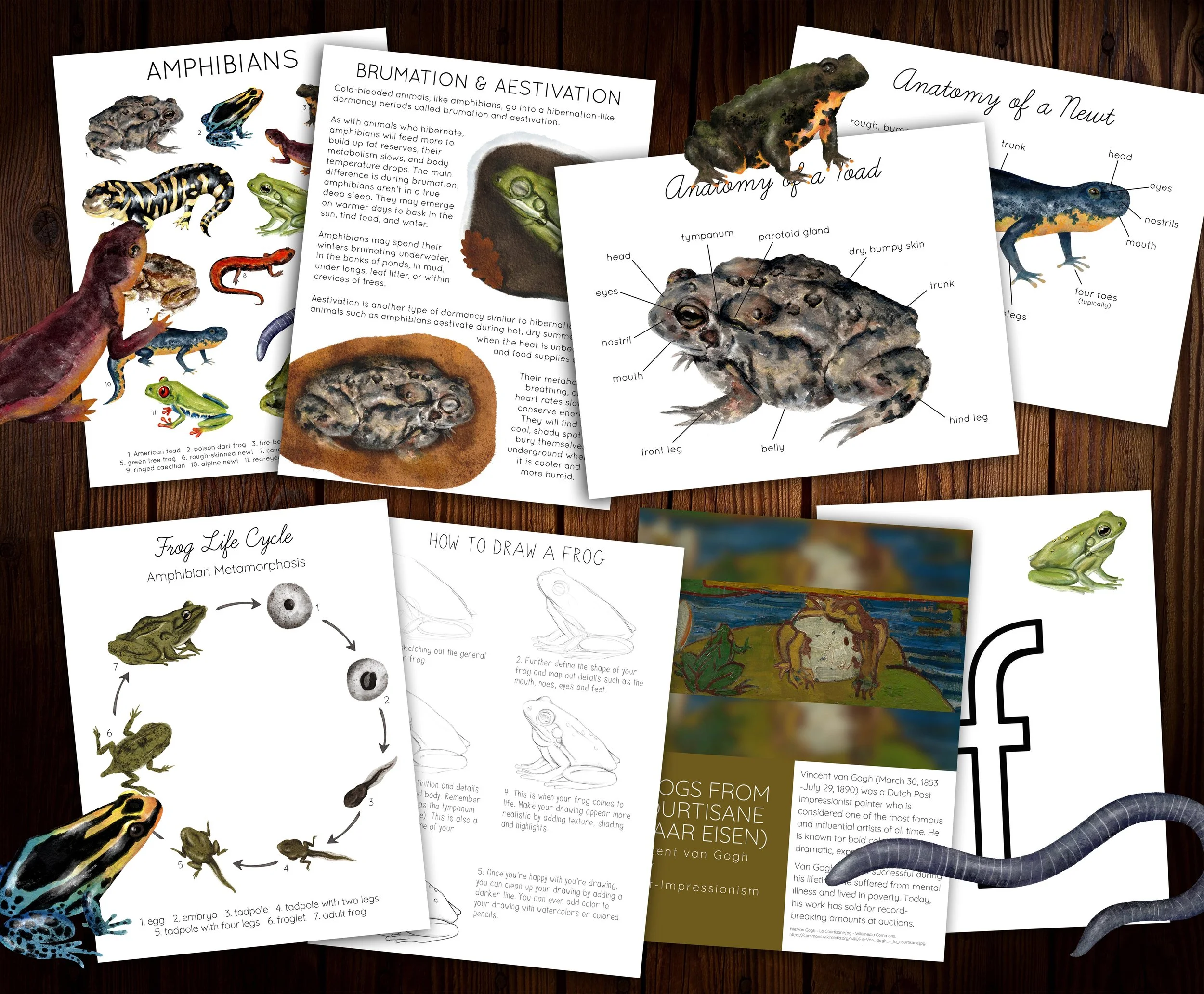 Prairie Nature Study Bundle — Stephanie Hathaway Designs