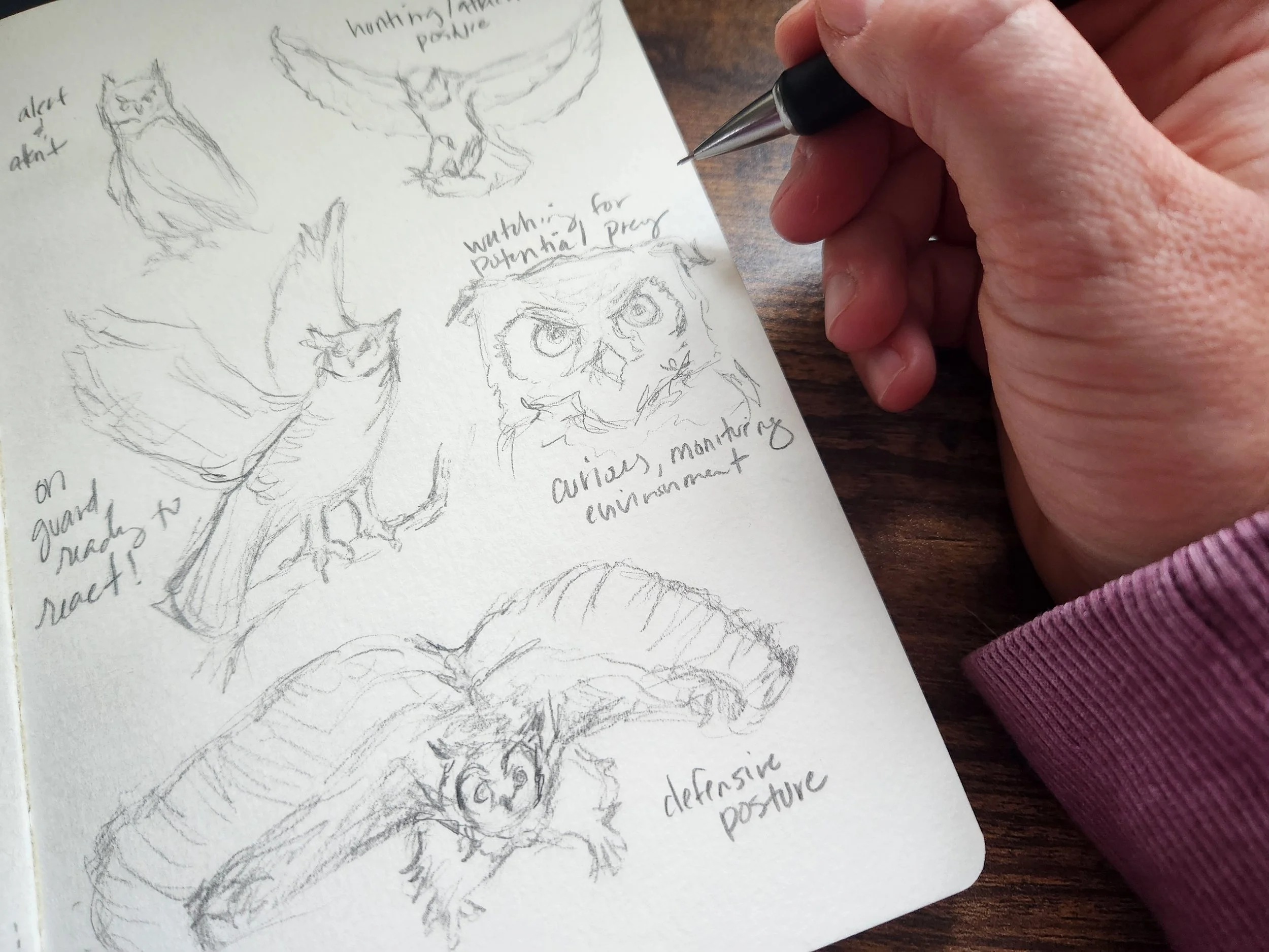 Owl Gesture Drawing Tutorial- Capturing Movement in Art | Stephanie ...