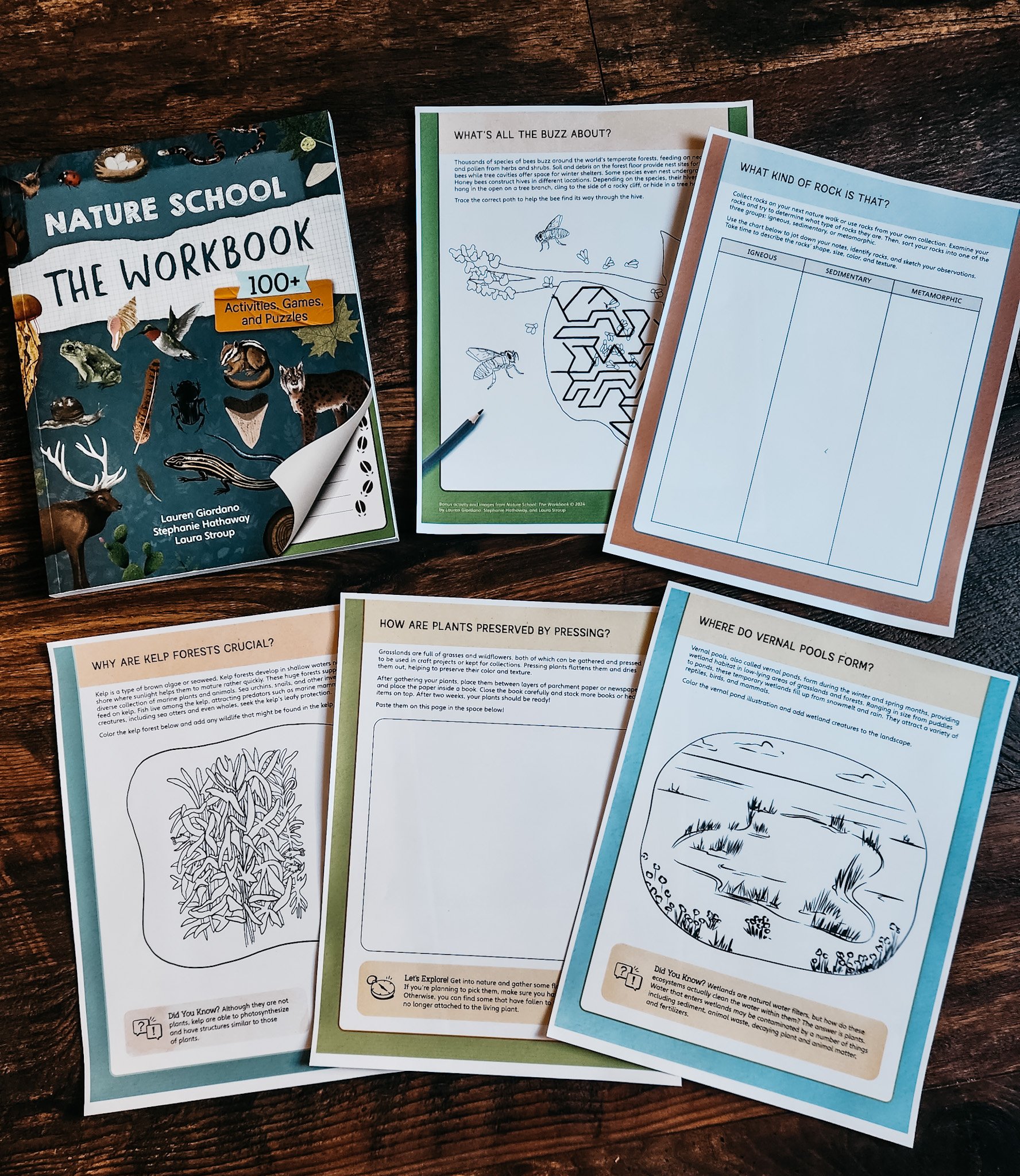 Nature School: The Book & Workbook | Stephanie Hathaway Designs ...