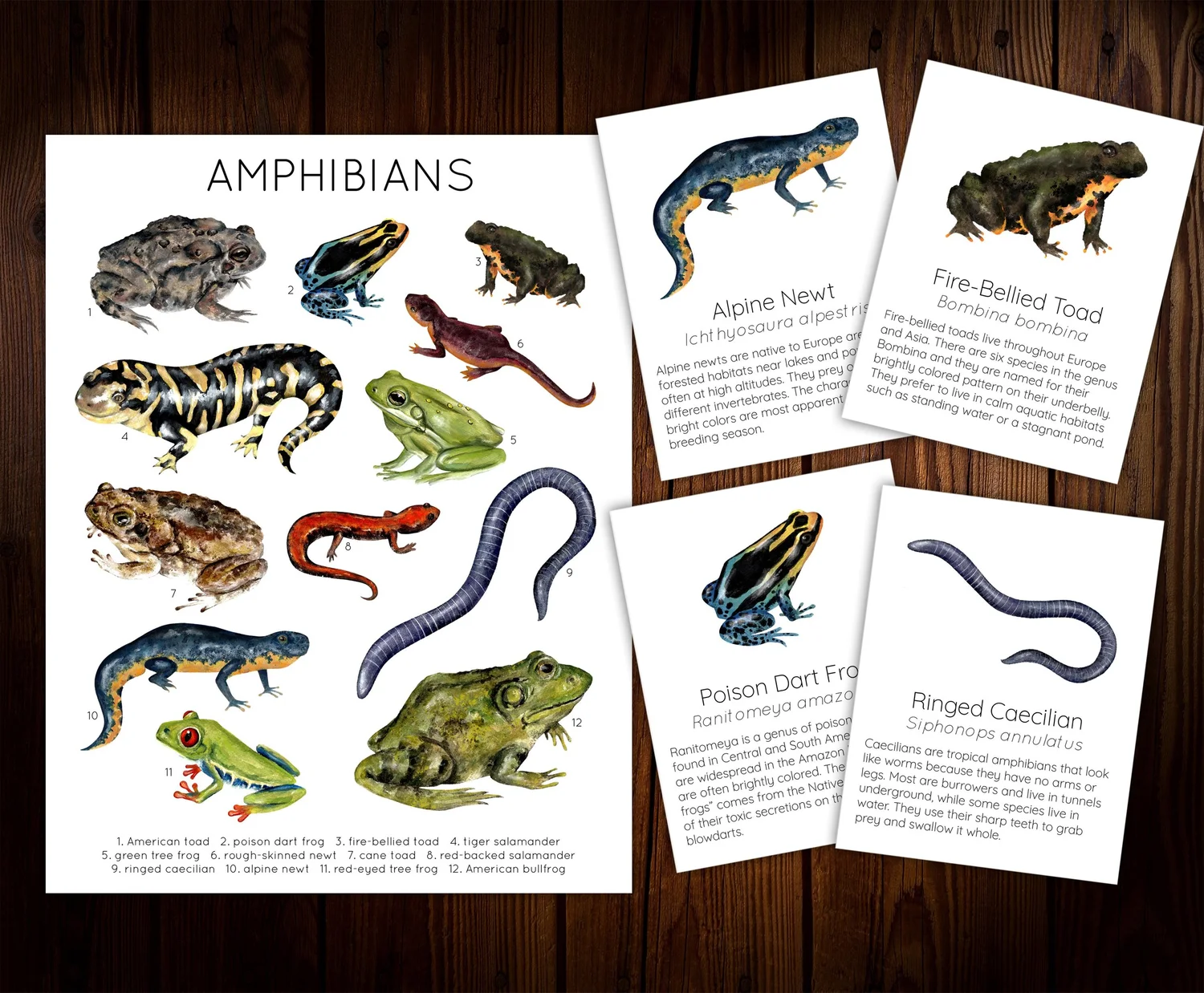 Bundles — Stephanie Hathaway Designs