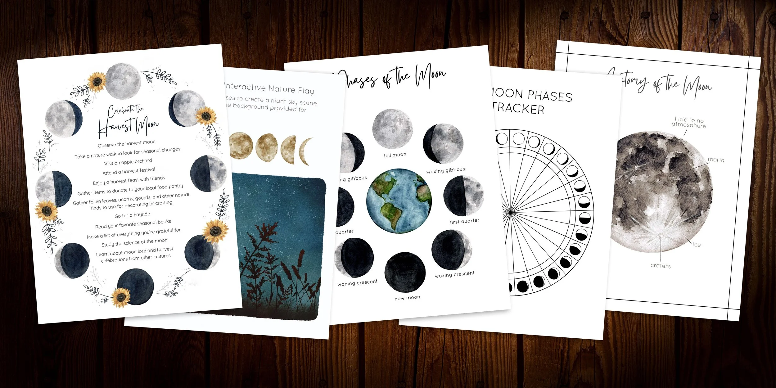 Nature Journaling with Steph: Garden — Stephanie Hathaway Designs