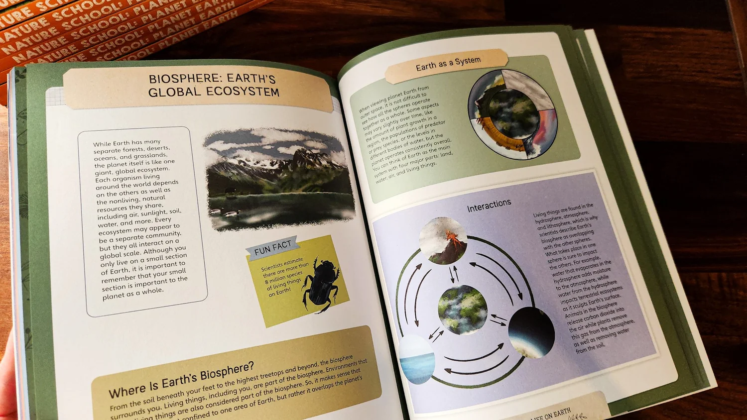 Planet Earth: Lessons and Activities to Inspire Children's Fascination ...