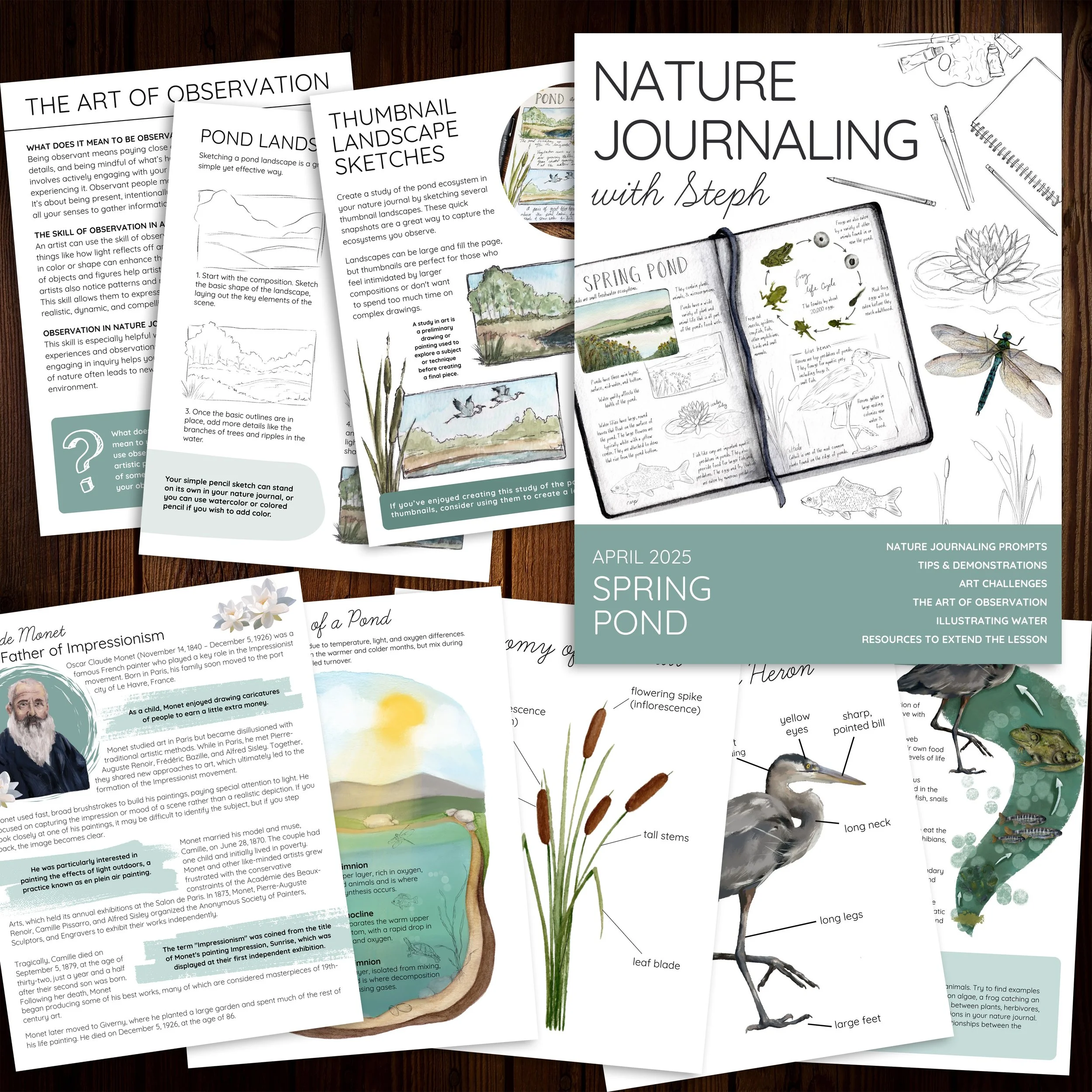 Nature Journaling with Steph — Stephanie Hathaway Designs