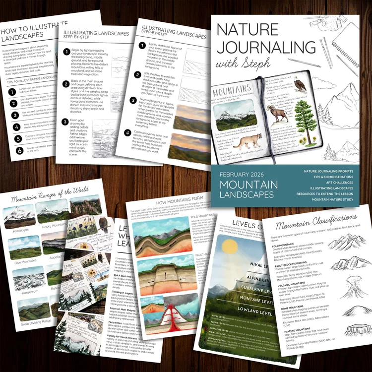 Nature Journaling with Steph | Monthly Art Lessons & Tutorials ...