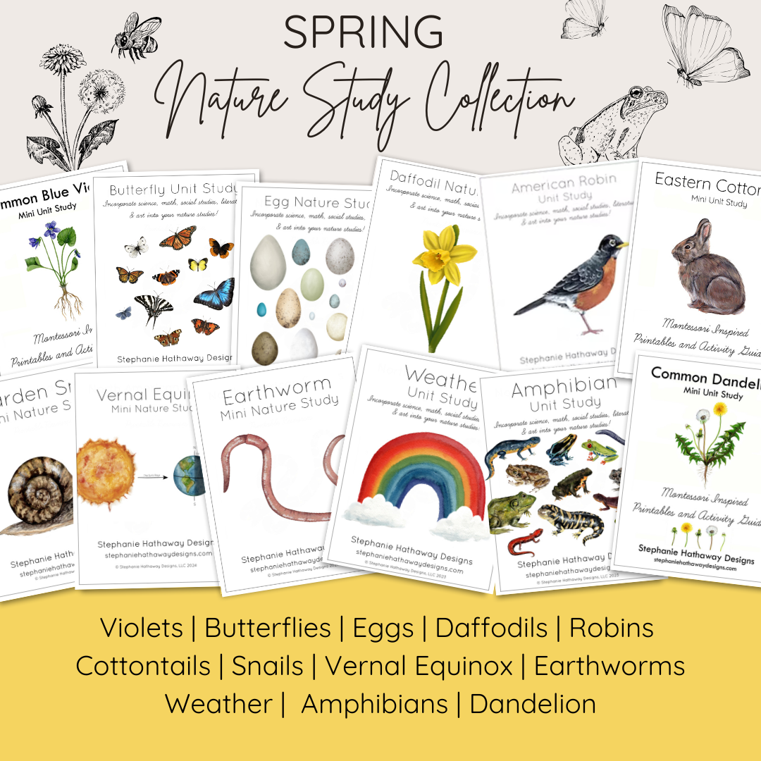 Nature Study Bundles & Collections | Stephanie Hathaway Designs ...