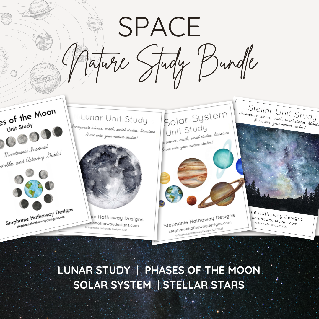 Ocean Nature Study Bundle — Stephanie Hathaway Designs