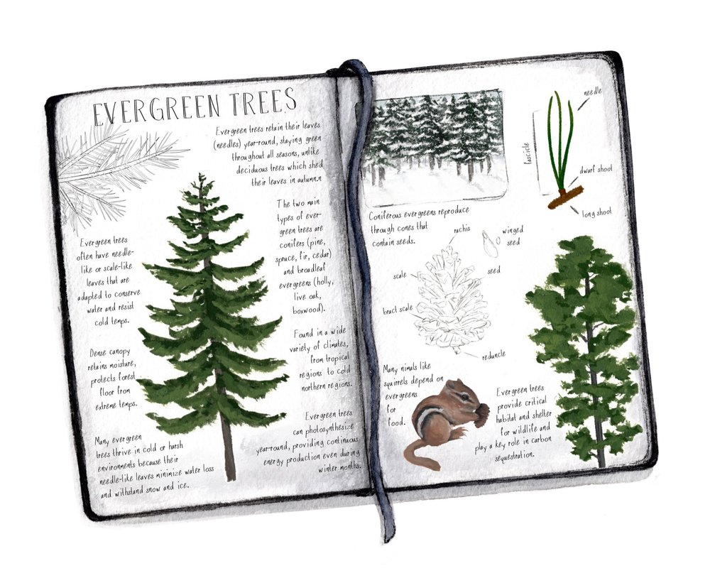 Blog — Stephanie Hathaway Designs