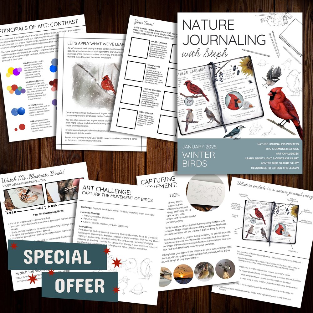 Nature-Inspired Learning & Art Blog | Stephanie Hathaway Designs ...
