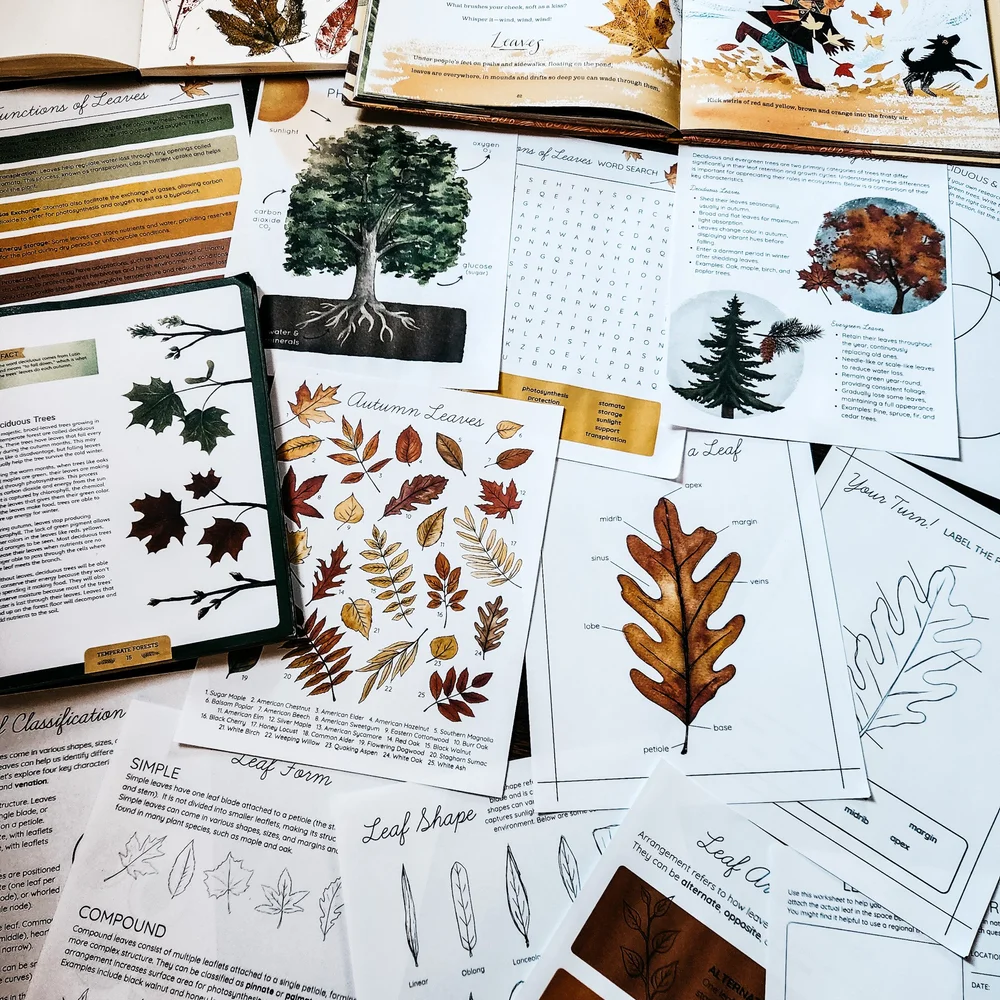 Mushroom Unit Study — Stephanie Hathaway Designs