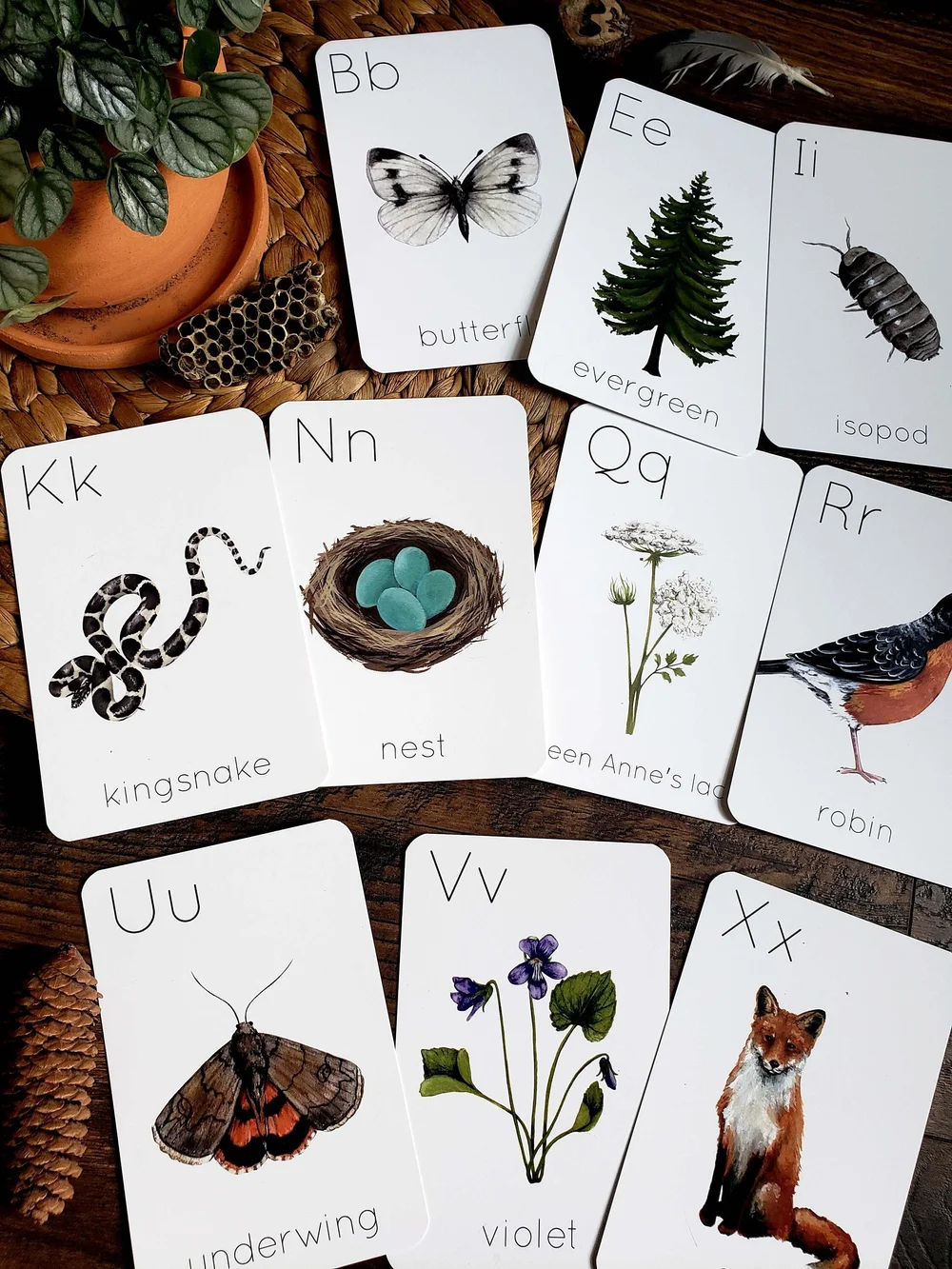 Animal Alphabet Flashcards | 26 Hand-Painted Montessori & Waldorf Cards ...