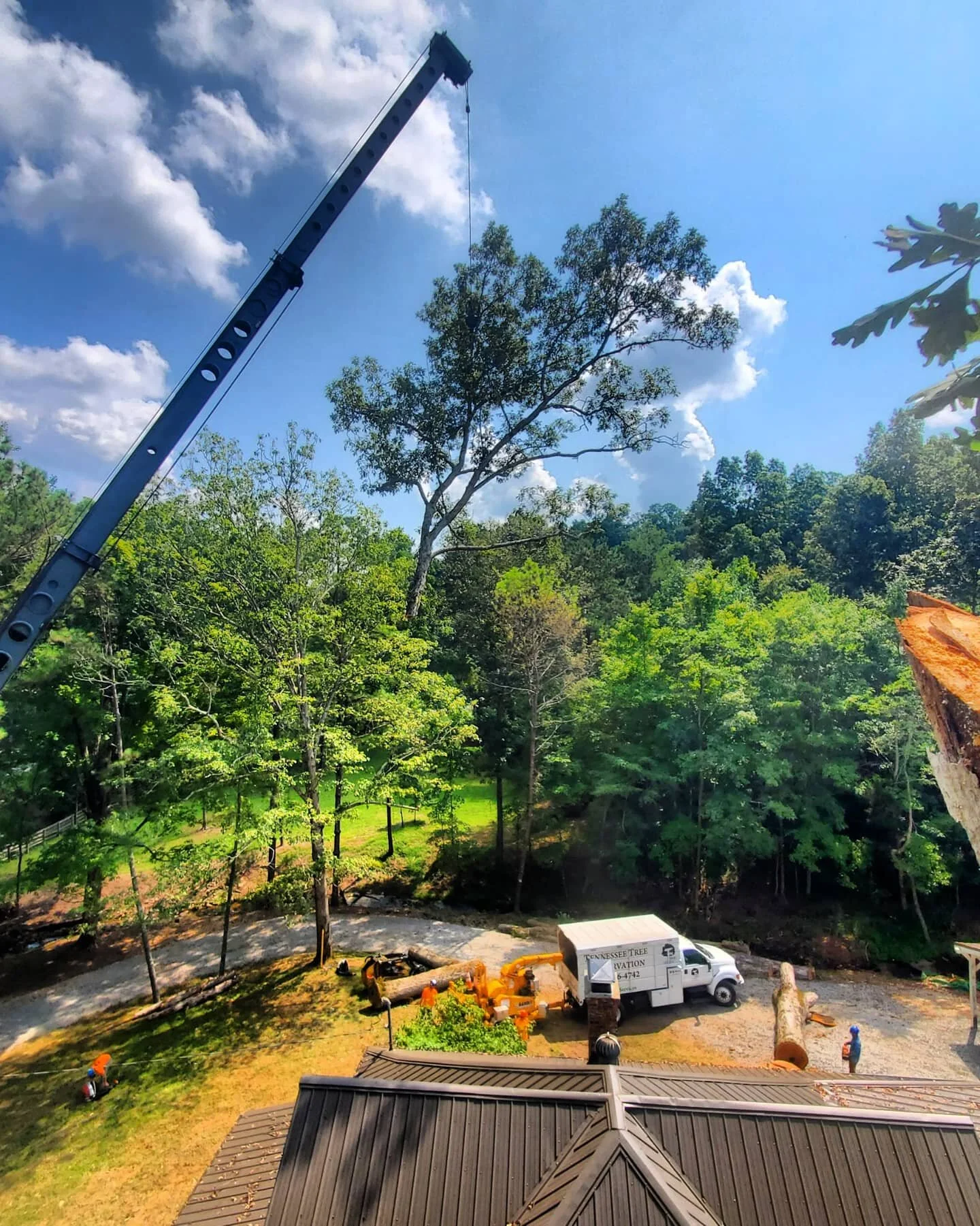 Franklin, TN Tree Services & Tree Removal | TN Tree Preservation