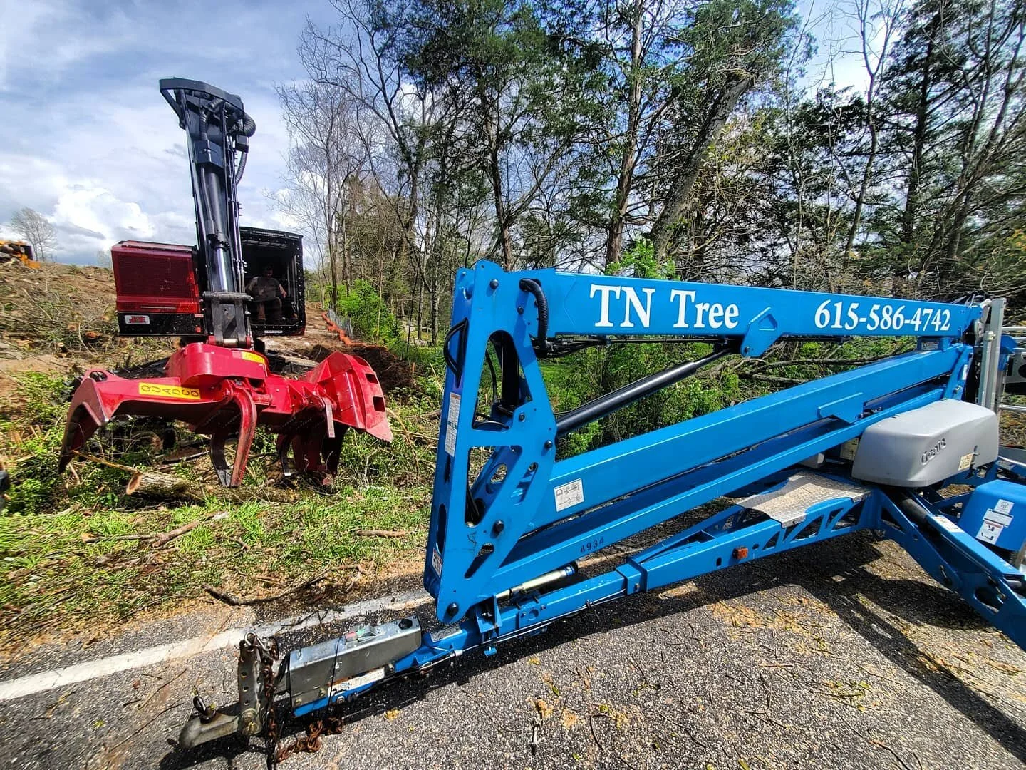 Franklin, TN Tree Services & Tree Removal | TN Tree Preservation