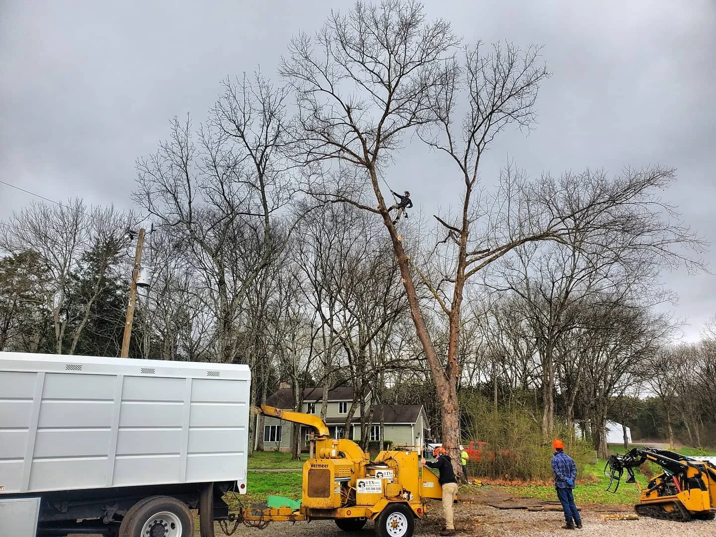 Franklin, TN Tree Services & Tree Removal | TN Tree Preservation