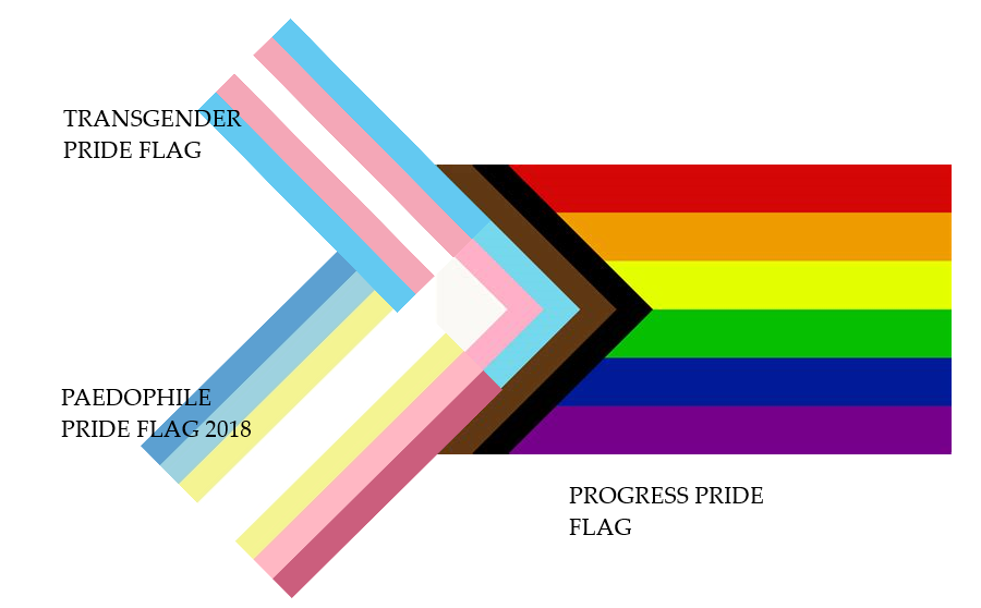 Groomer colours in the Transgender & Progress-Pride Flags — Catholic Arena