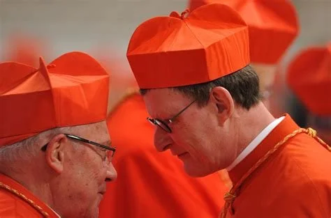 What is a Cardinal? — Catholic Arena