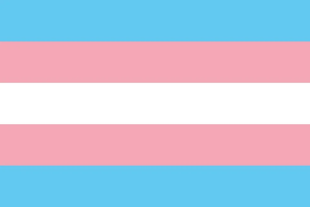 Groomer colours in the Transgender & Progress-Pride Flags — Catholic Arena
