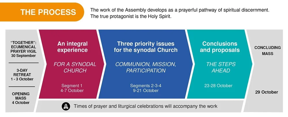 The Synod on Synodality is starting ...but what is a Synod? — Catholic ...