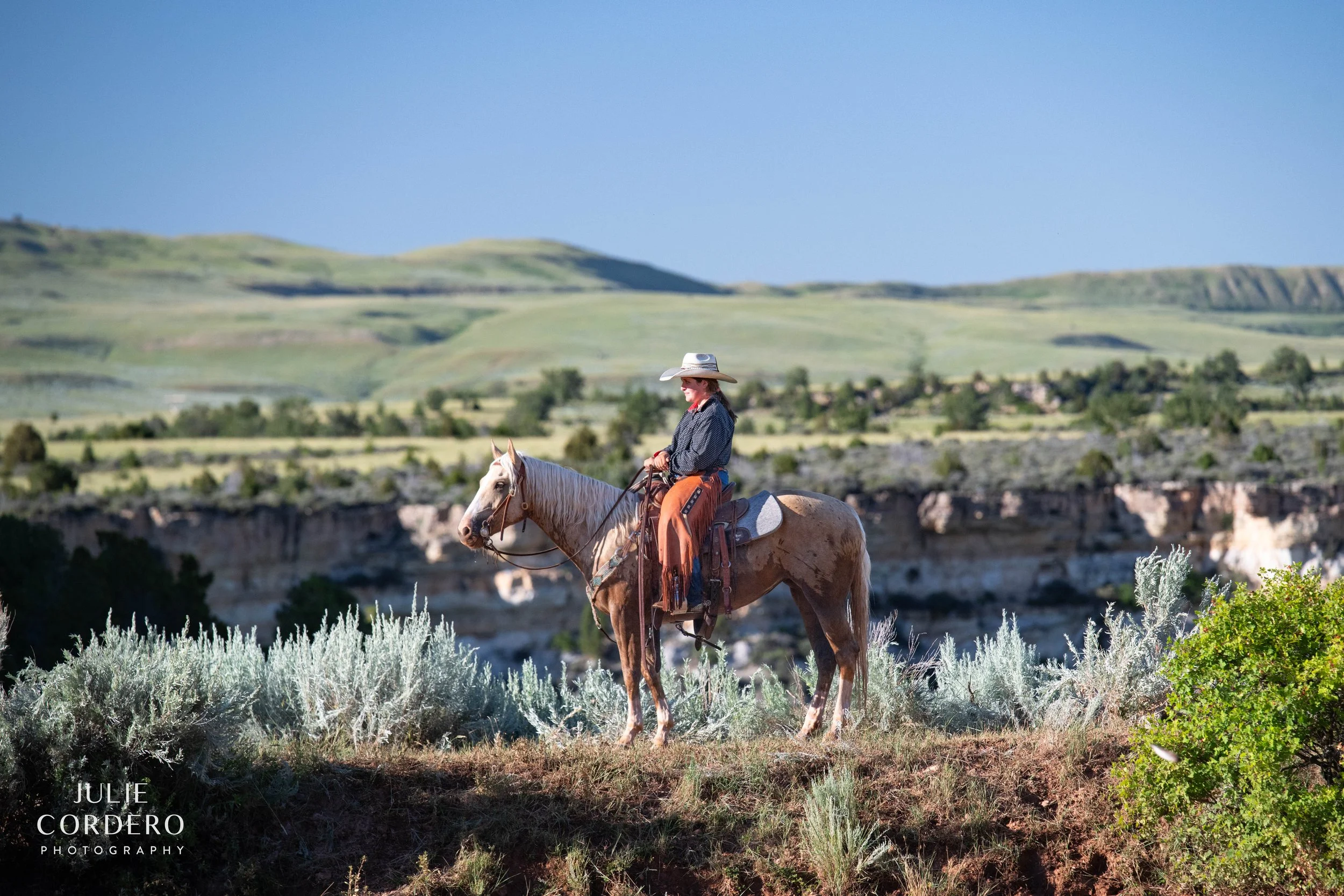 Beautiful Western Horse Photography
