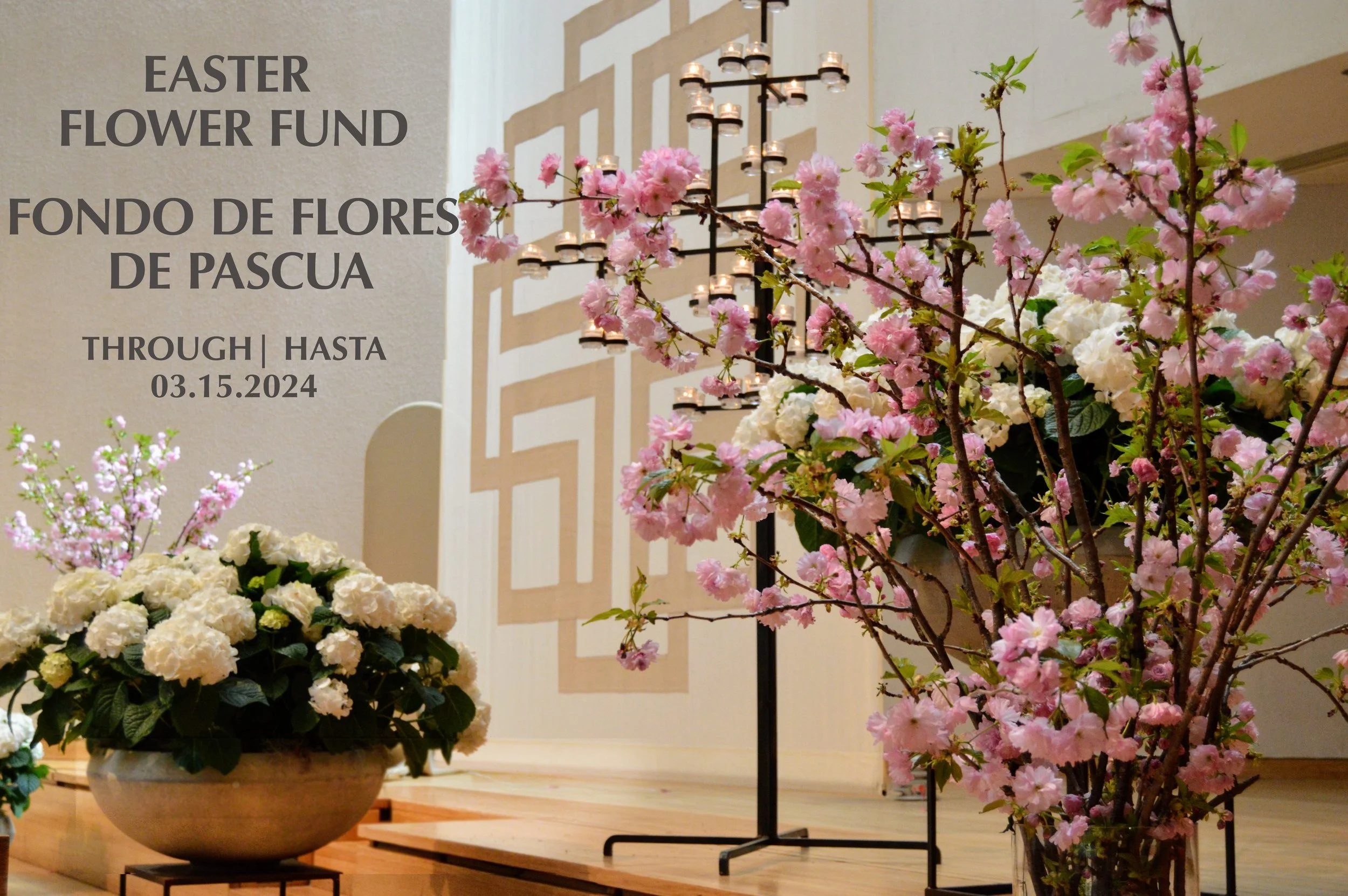 Easter Flower Fund 2024 — Saint Peter's Church