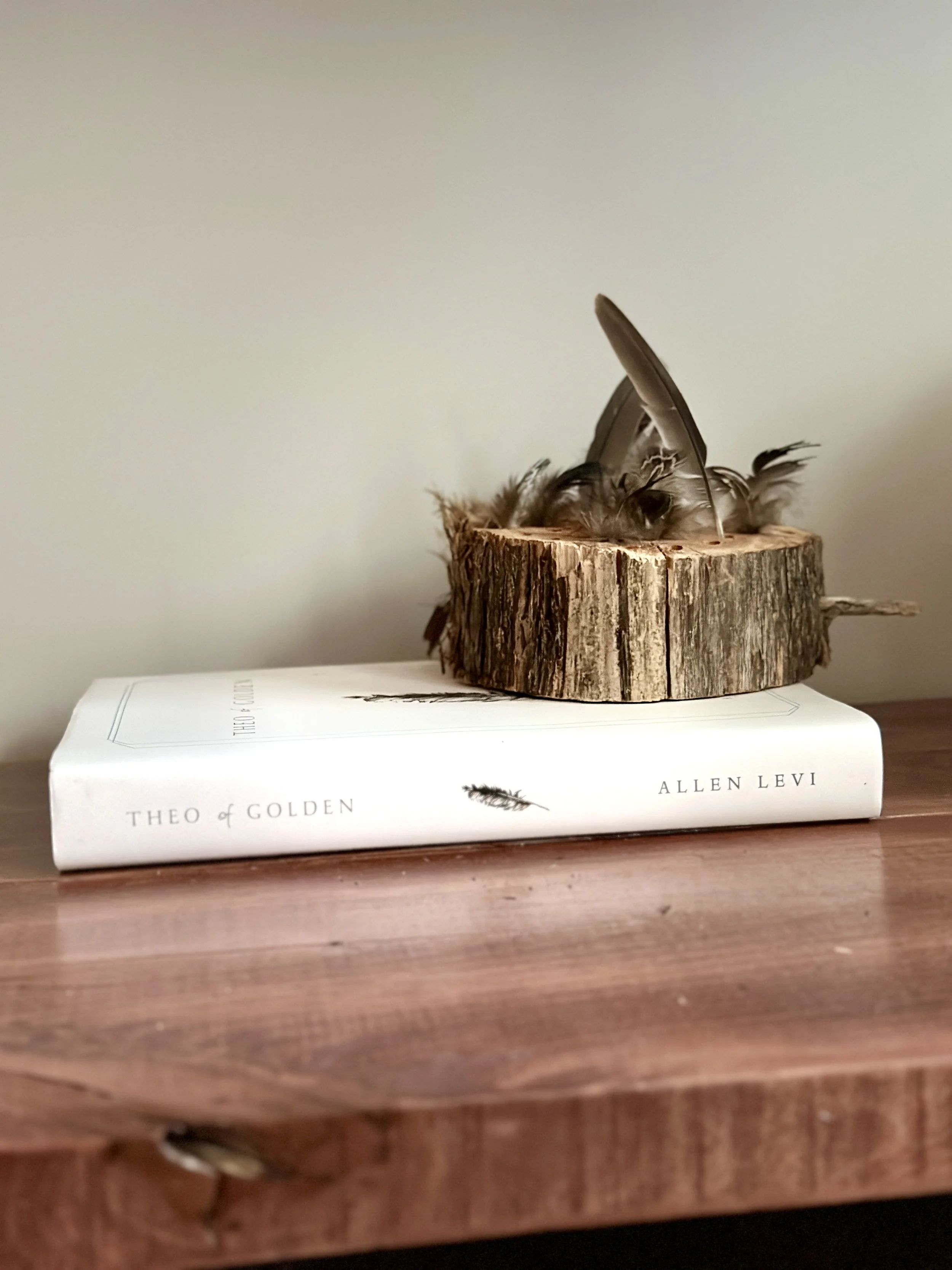 Store — Allen Levi