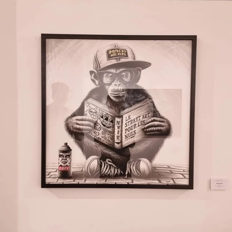 Drawings - Dessins